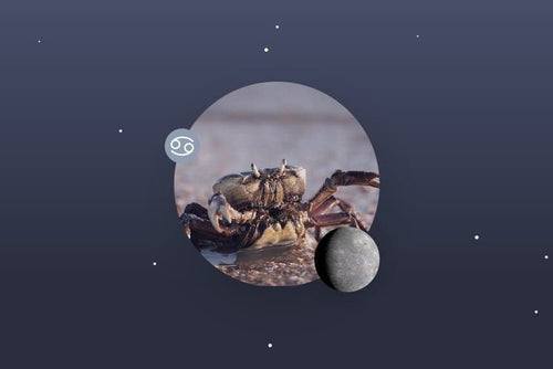 Learn Astrology Online | Natalch.art - Custom Astrology Birth Charts ...