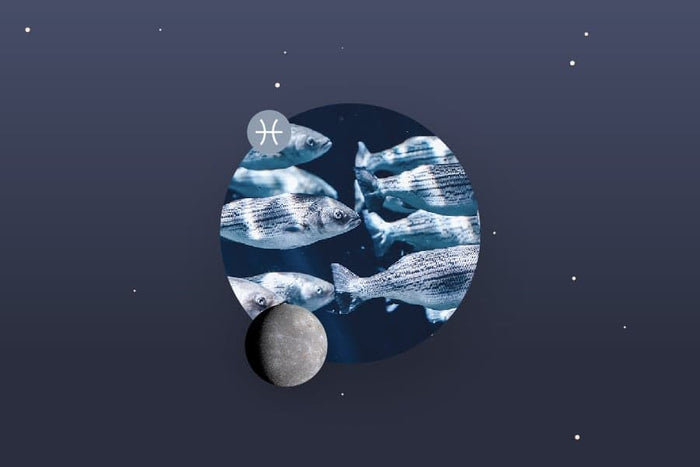 Learn Astrology Online Natalch Art Custom Astrology Birth Charts
